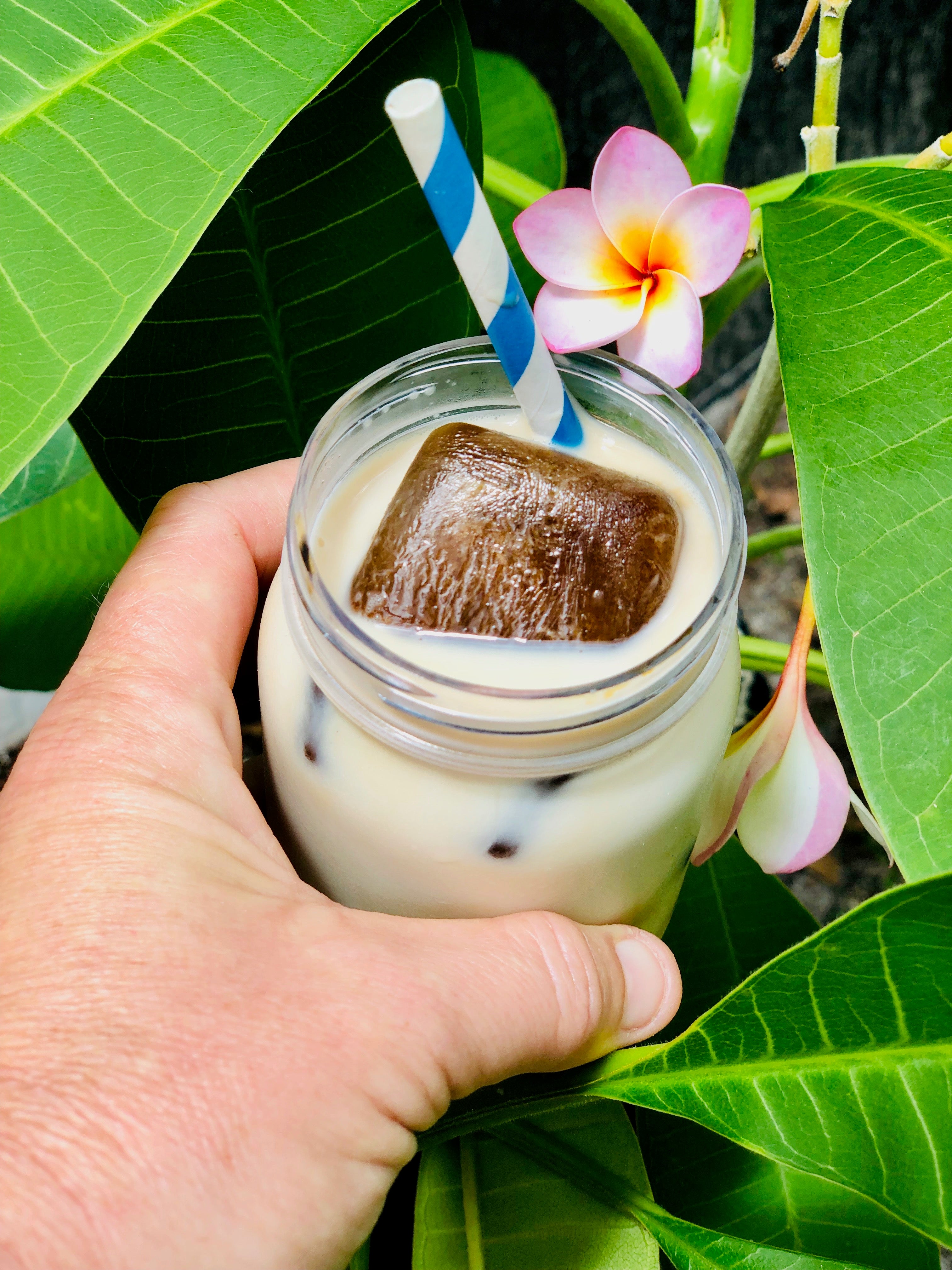 Barnie’s Cold Brew Ice Cubes – Barnies Coffee & Tea Co.