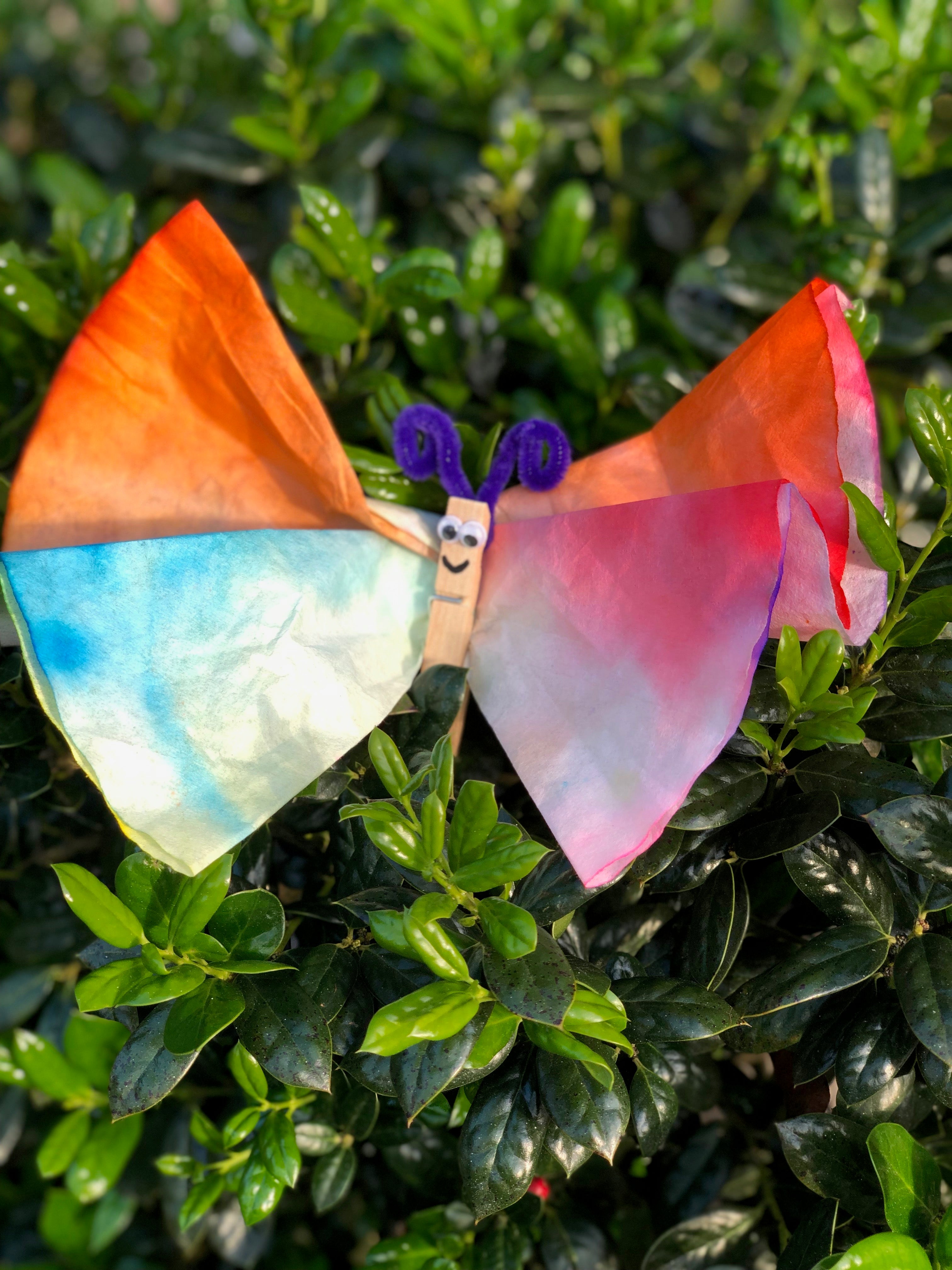 Coffee Filter Butterflies Coffee Filter Butterfly New Arrivals